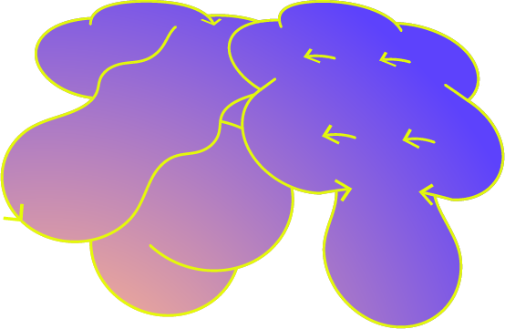 FUTURE MUSEUM OF HOLY PIG